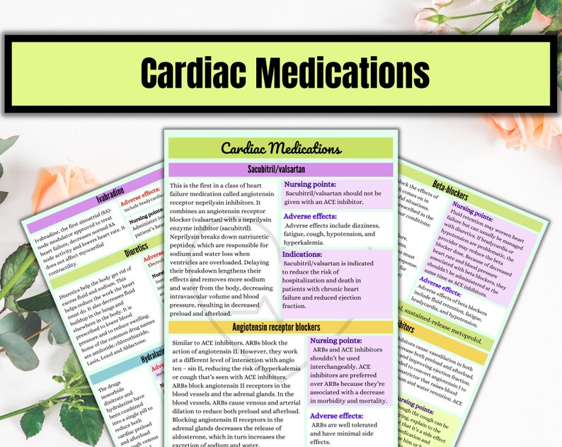 Cardiovascular System Anatomy Notes Instant Download - Etsy