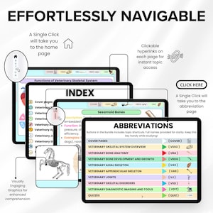 Veterinary Skeletal System Flashcard, 8+ Topics, 5 Bonus Cover Pages ...