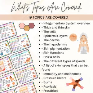 Integumentary System Flashcards Hyperlinked | Human Body Flashcard ...