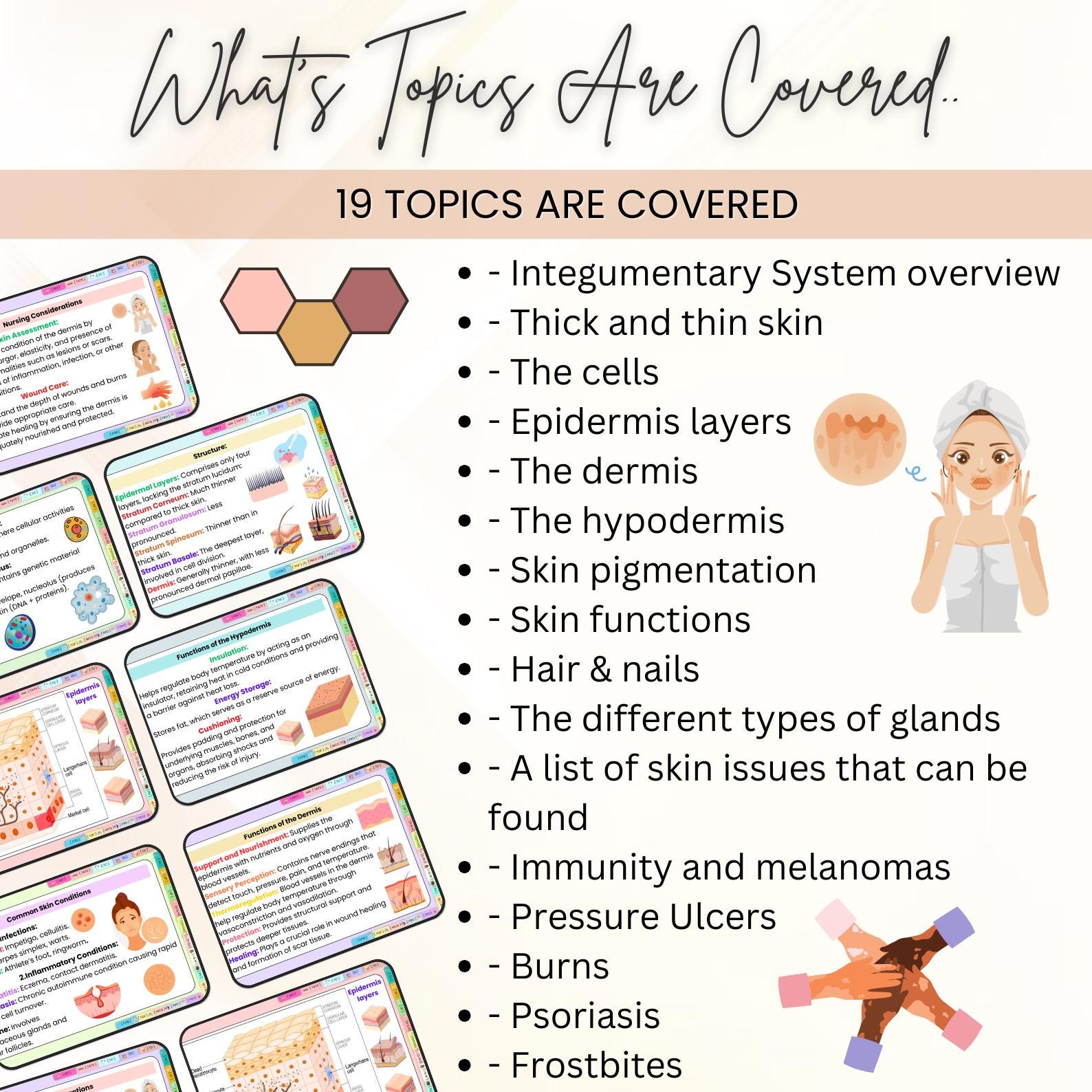 Integumentary System Flashcards Hyperlinked | Human Body Flashcard ...