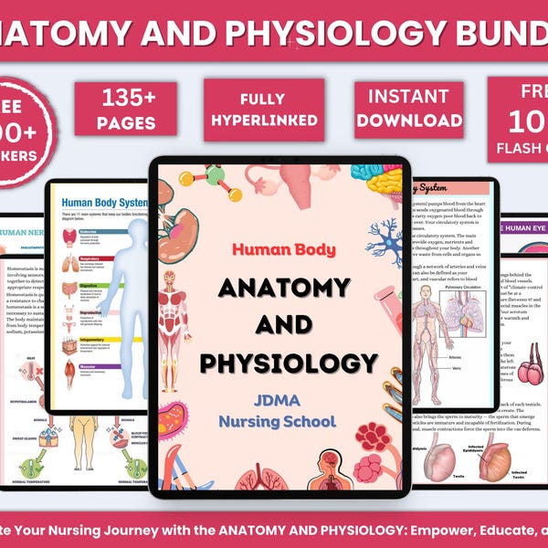 Anatomy Flashcards - Etsy