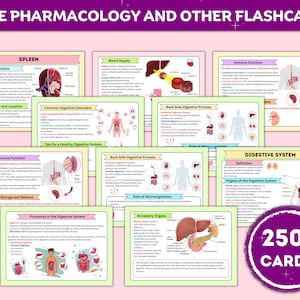 Comprehensive Nursing School Bundle With Hyperlinked | Study Guide ...