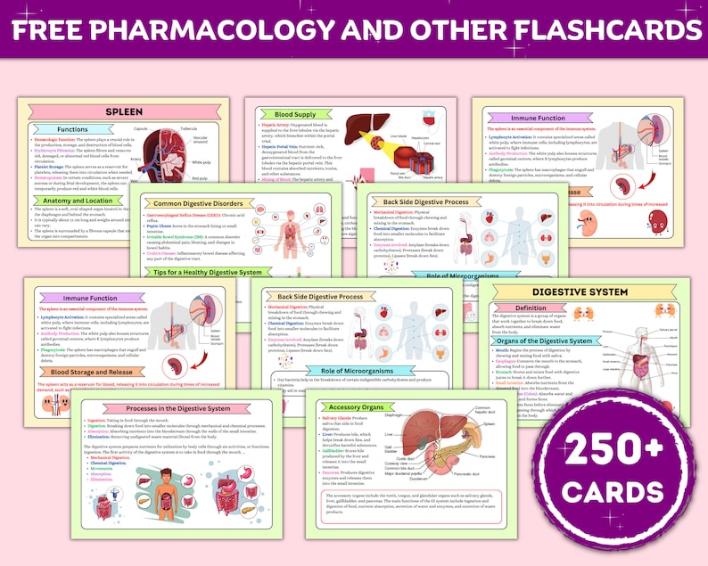 Comprehensive Nursing School Bundle With Hyperlinked | Study Guide Bundle | Nursing School Note ...