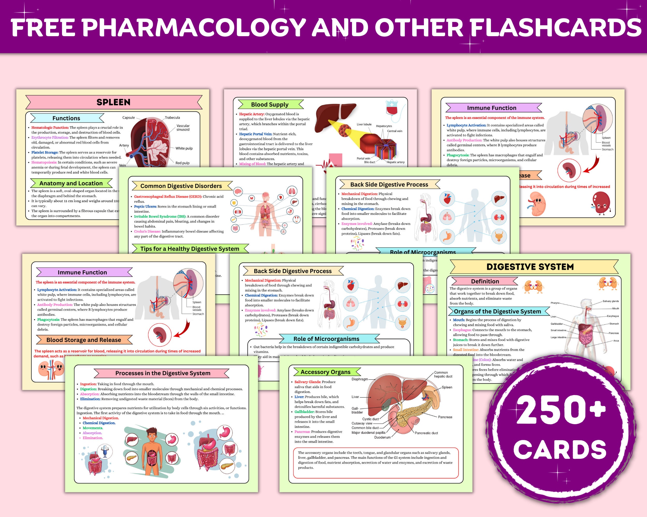 Comprehensive Nursing School Bundle With Hyperlinked | Study Guide ...