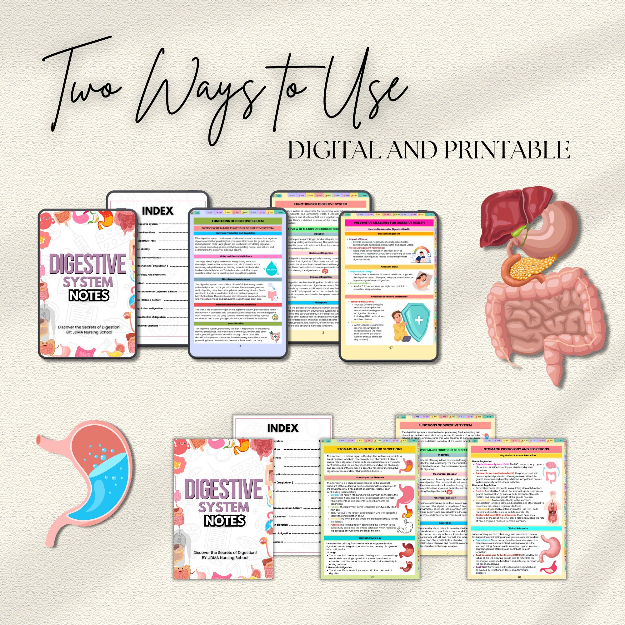 Digestive System Bundle With Flashcards, Svg’s, Quiz or Sticker | Human ...