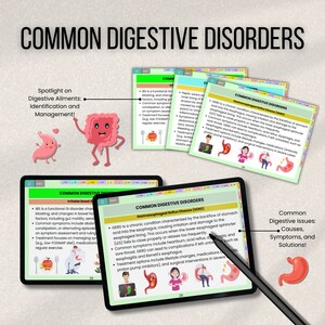 Digestive System Flashcards Bundle or Quiz With Hyperlinked | Human ...