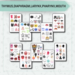 Respiratory System Sticker Bundle Pre-cropped | Sticker Bundle 700 ...
