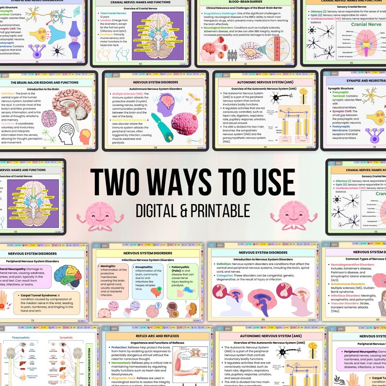 Nervous System Flashcards Hyperlinked, Med Surg Notes, Anatomy of Brain ...