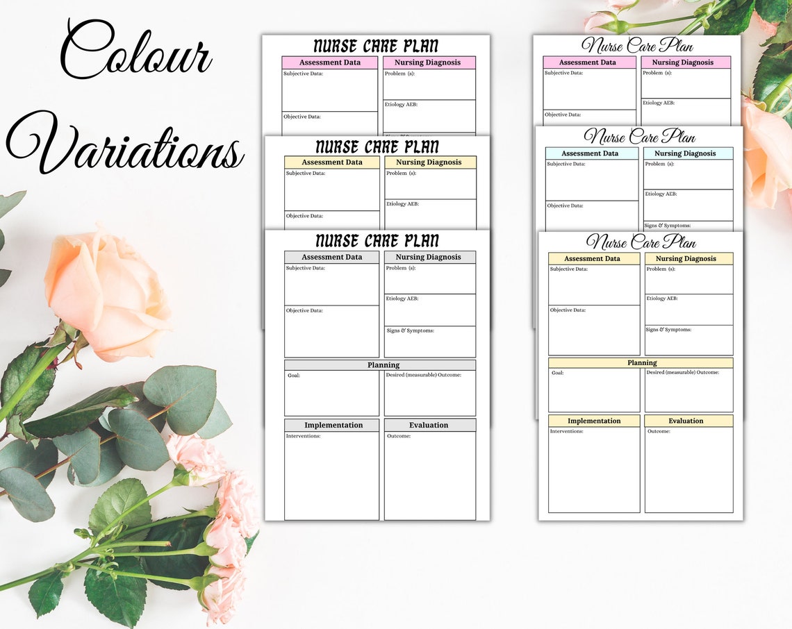 Nurse Care Plan Nursing Notes Printable Sheet Care Plan - Etsy