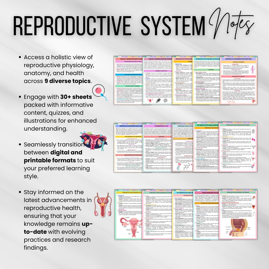 Reproductive System Notes Fully Hyperlinked 30+ Sheets | Study Guide ...