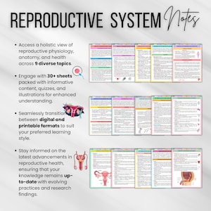 Reproductive System Notes Fully Hyperlinked 30+ Sheets | Study Guide ...