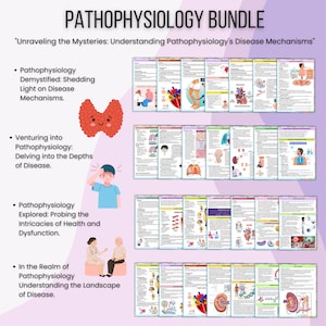 Pathophysiology Bundle With Flashcards, Quizzes, Stickers, Hyperlinked ...
