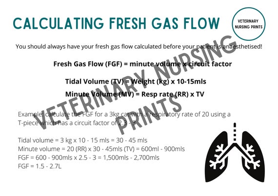 Fresh Gas Flow Calculation Poster | Etsy
