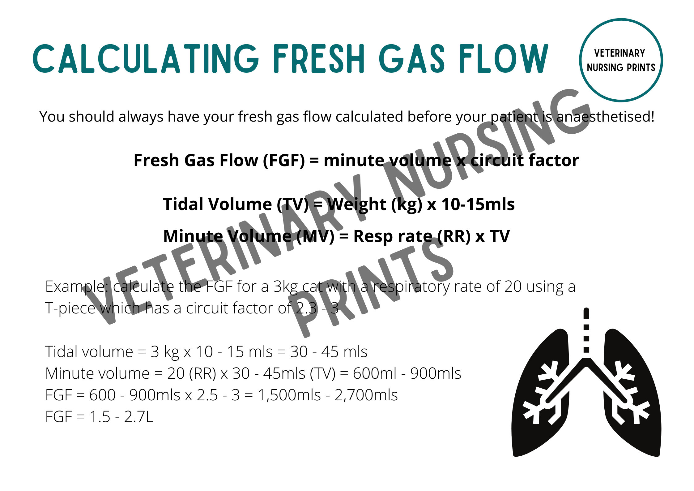 Fresh Gas Flow Calculation Poster - Etsy