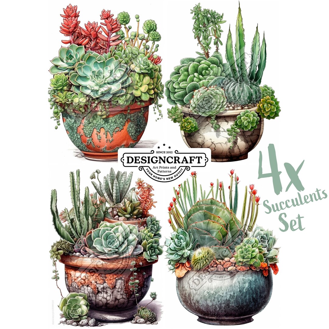 Succulents in a Pot Clipart, Digital Watercolor Illustration, Printable ...