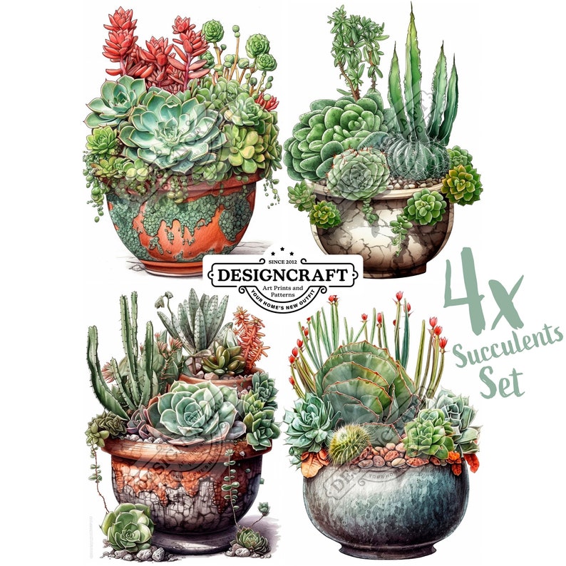 Succulents in a Pot Clipart, Digital Watercolor Illustration, Printable ...