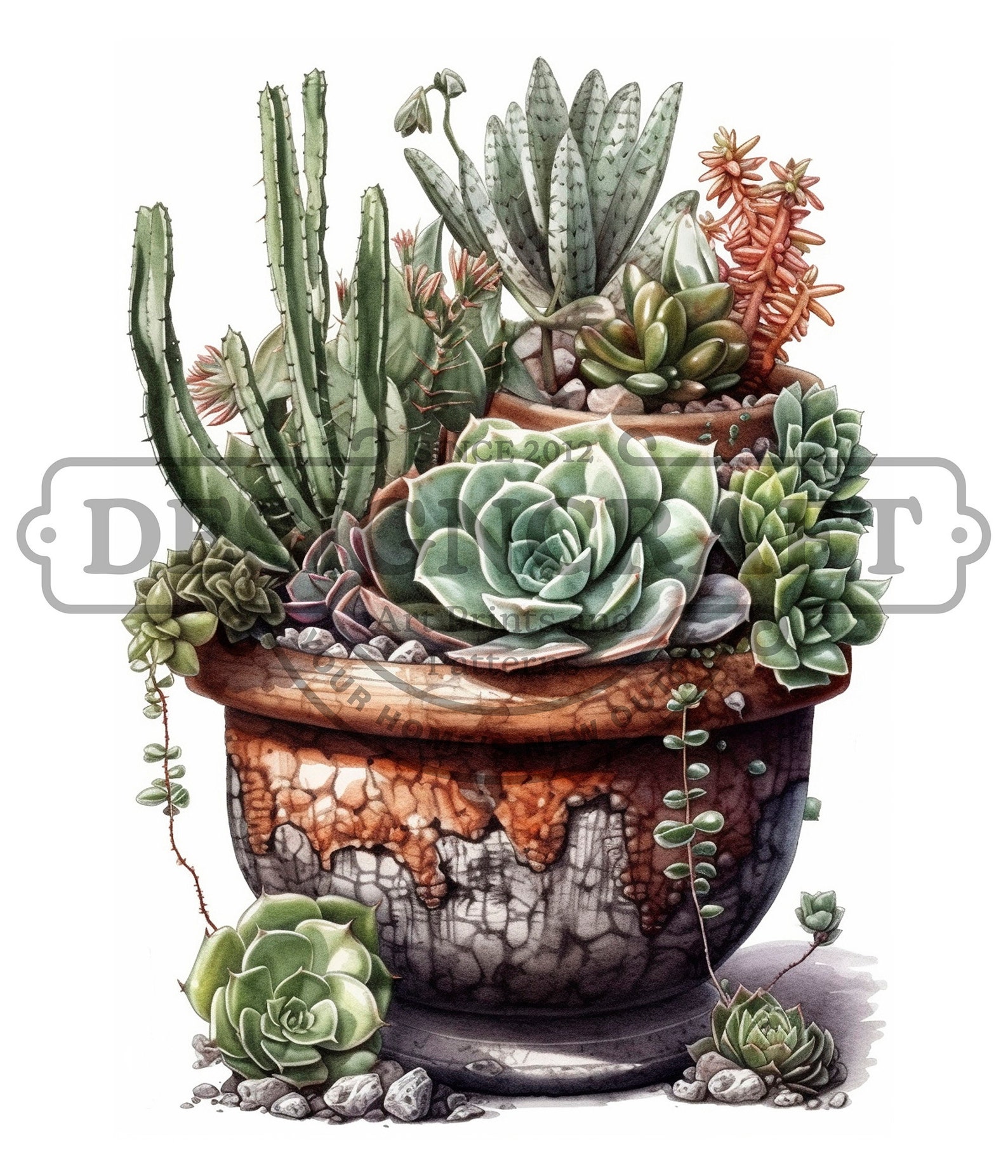 Succulents in a Pot Clipart, Digital Watercolor Illustration, Printable ...