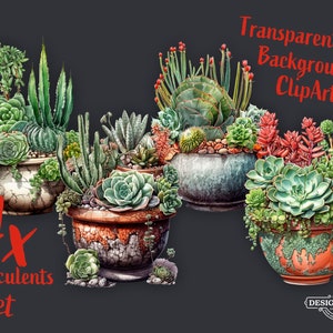 Succulents in a Pot Clipart, Digital Watercolor Illustration, Printable ...