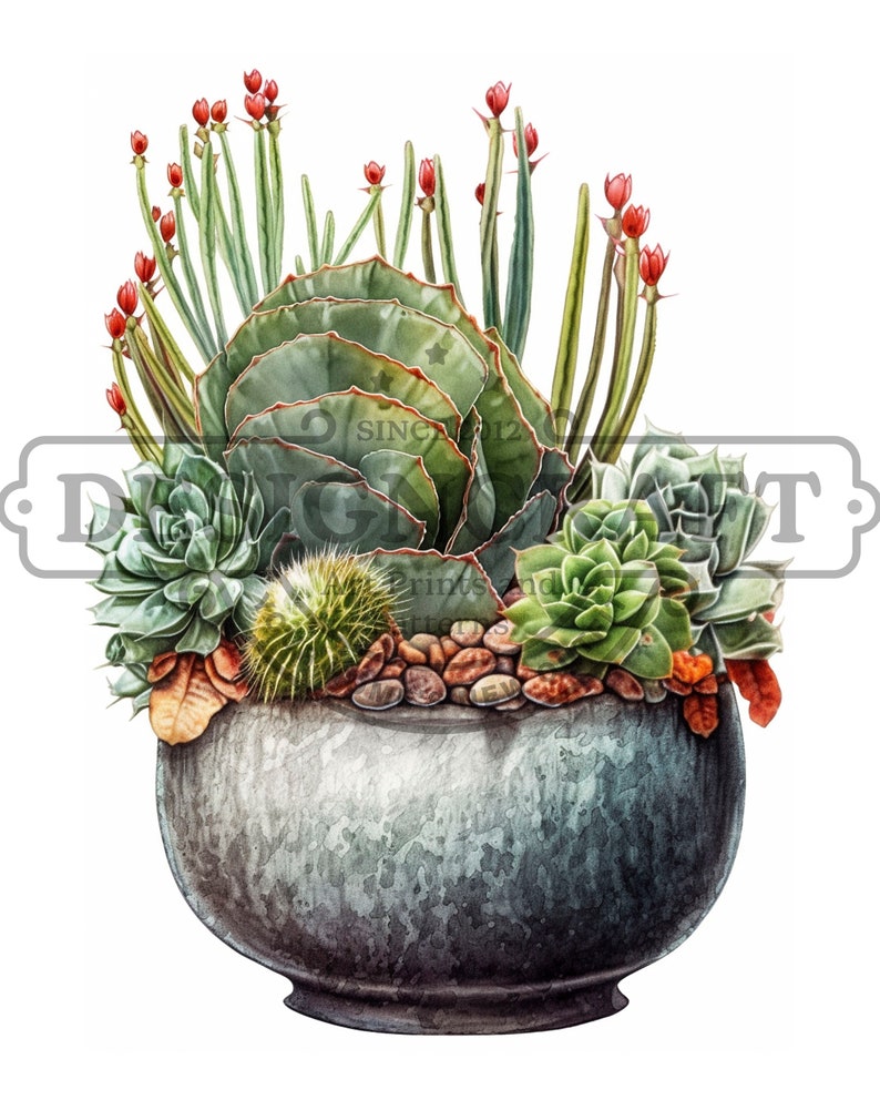 Succulents in a Pot Clipart, Digital Watercolor Illustration, Printable ...