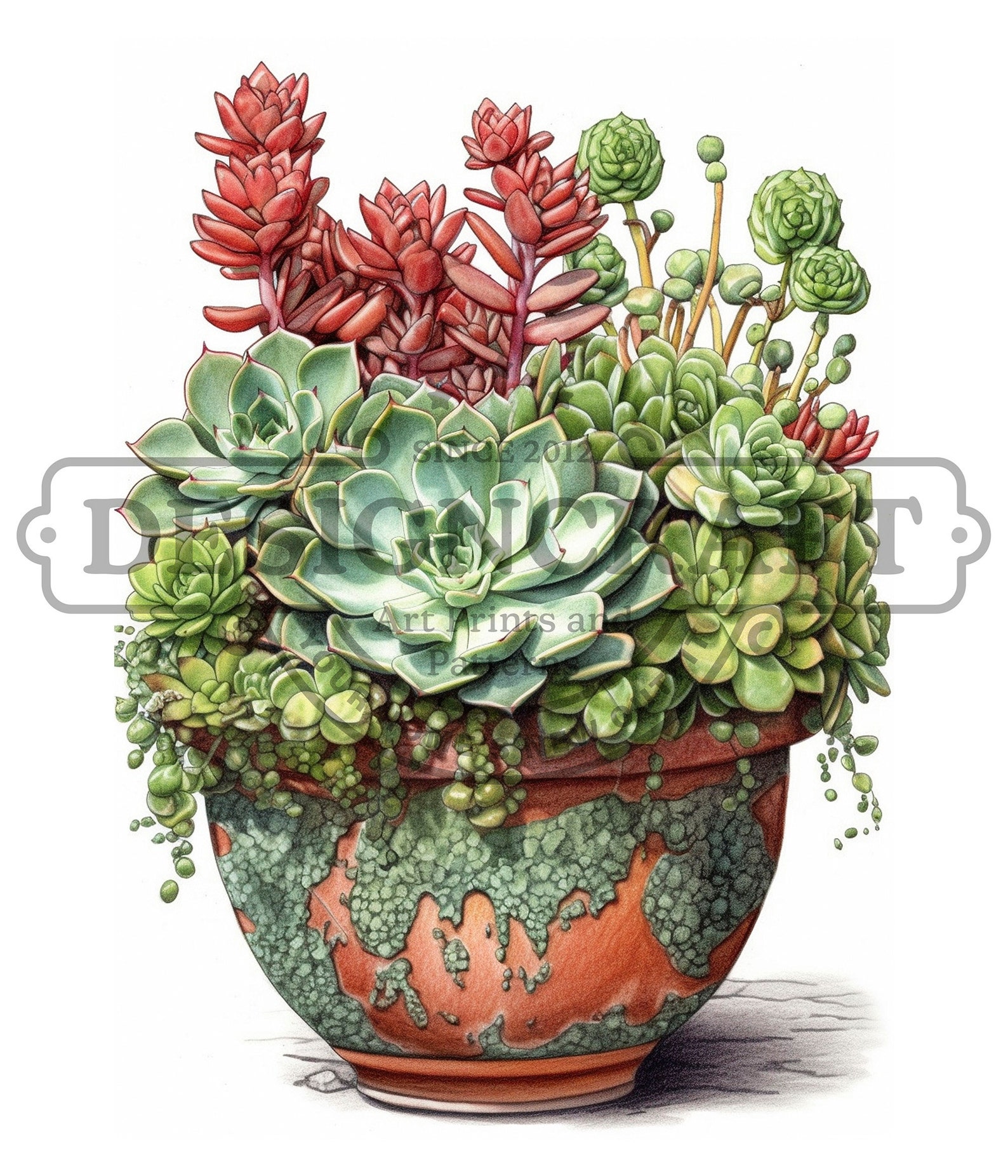 Succulents in a Pot Clipart, Digital Watercolor Illustration, Printable ...