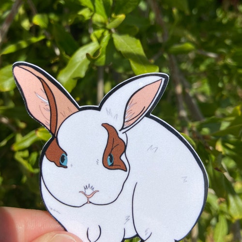 Red-eyed White Lionhead Rabbit Sticker Cute White Bunny | Etsy
