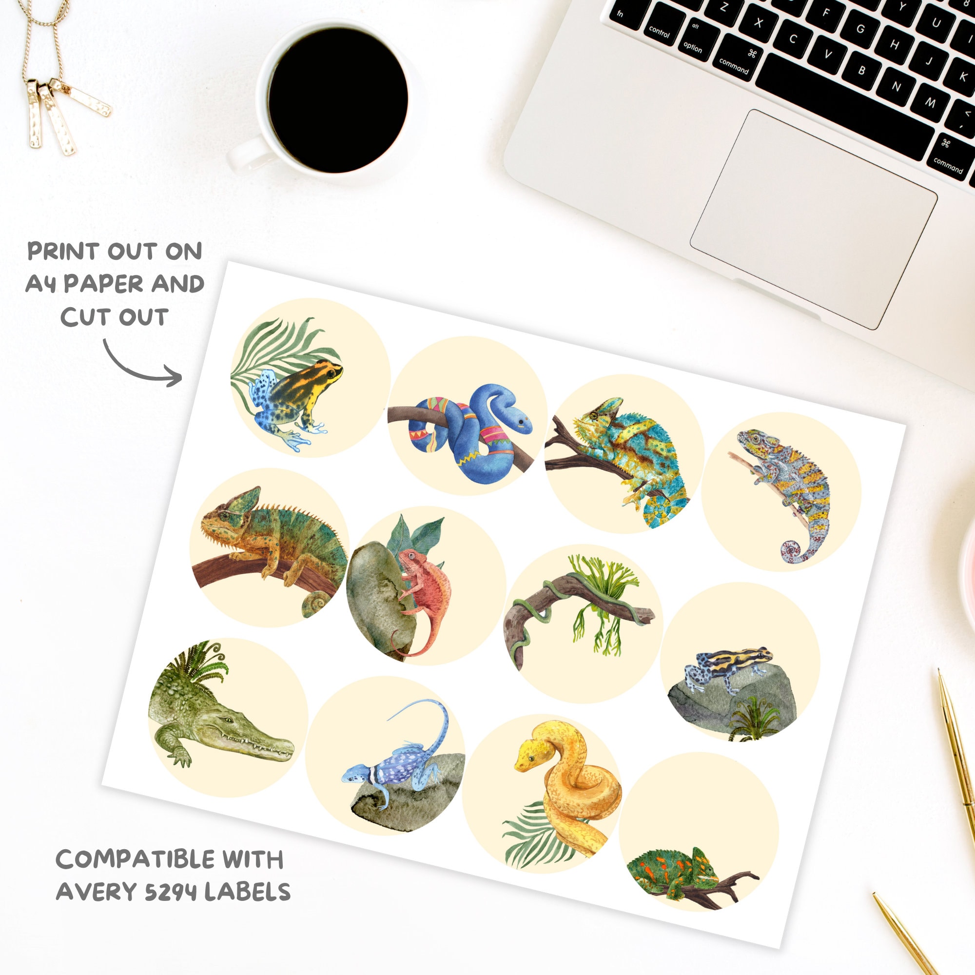 Reptile Cupcake Toppers Lizard Snake Chameleon Round Labels Kids ...