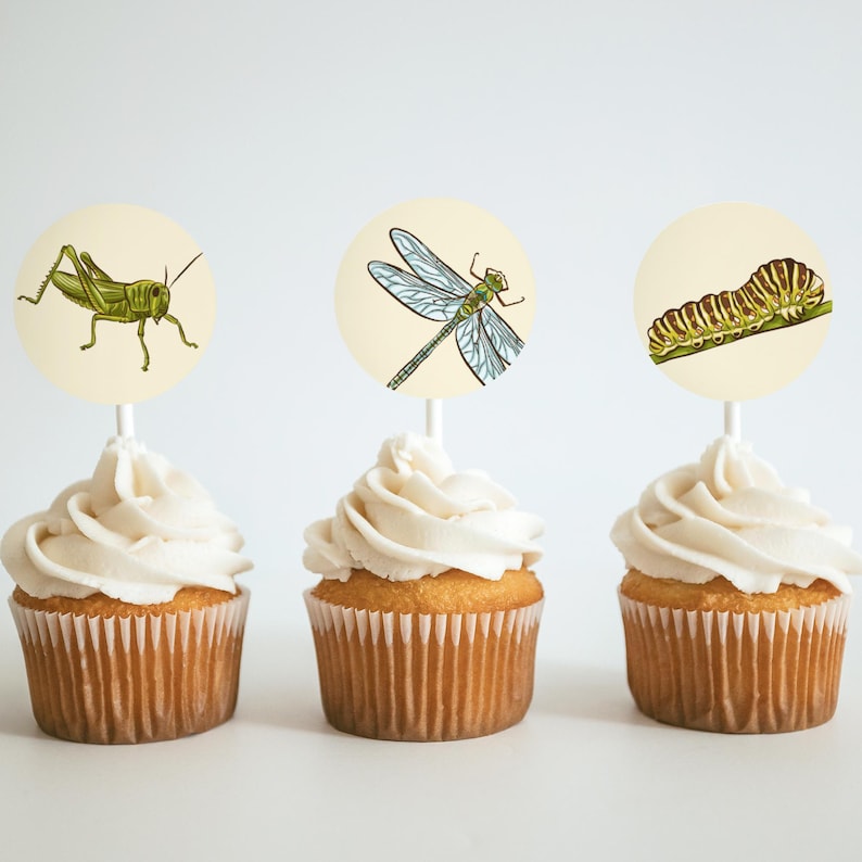 Bugs Cupcake Toppers Insect Round Labels Kids Bugs Party Decor ...