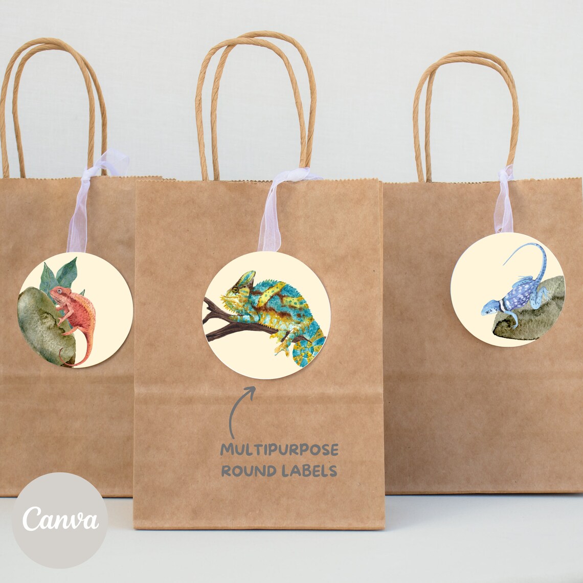 Reptile Cupcake Toppers: Lizard, Snake, Chameleon (digital Download) - Etsy