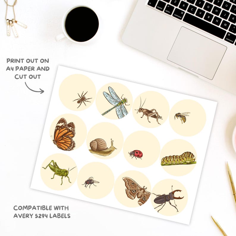 Bugs Cupcake Toppers Insect Round Labels Kids Bugs Party Decor ...