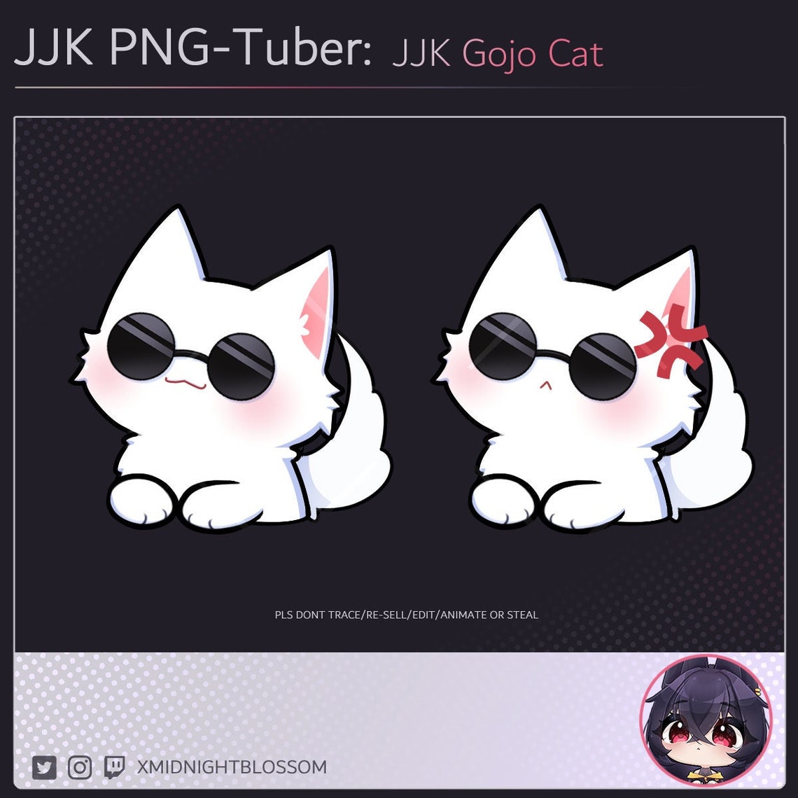 Cute Go Jo Cat "jjk" | PNG Tuber | Stream Asset | Cam |reactive PNG ...