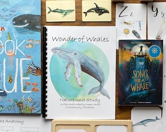 ANT Colony Unit Study Life Cycle Anatomy Nature Study - Etsy UK