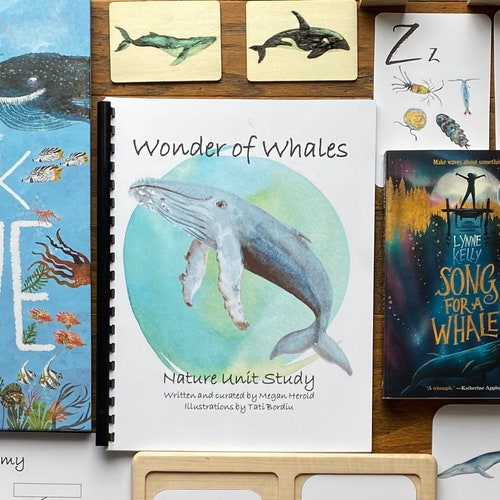 Ocean Animals Unit BUNDLE Nature Study Math Language Arts - Etsy