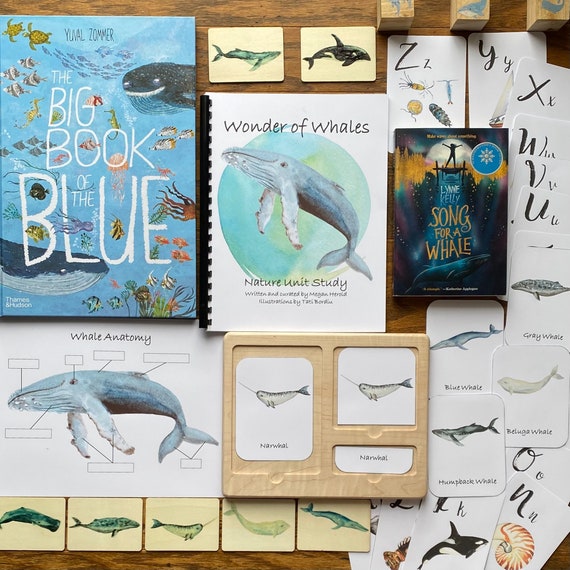 Whale Unit Study - Etsy
