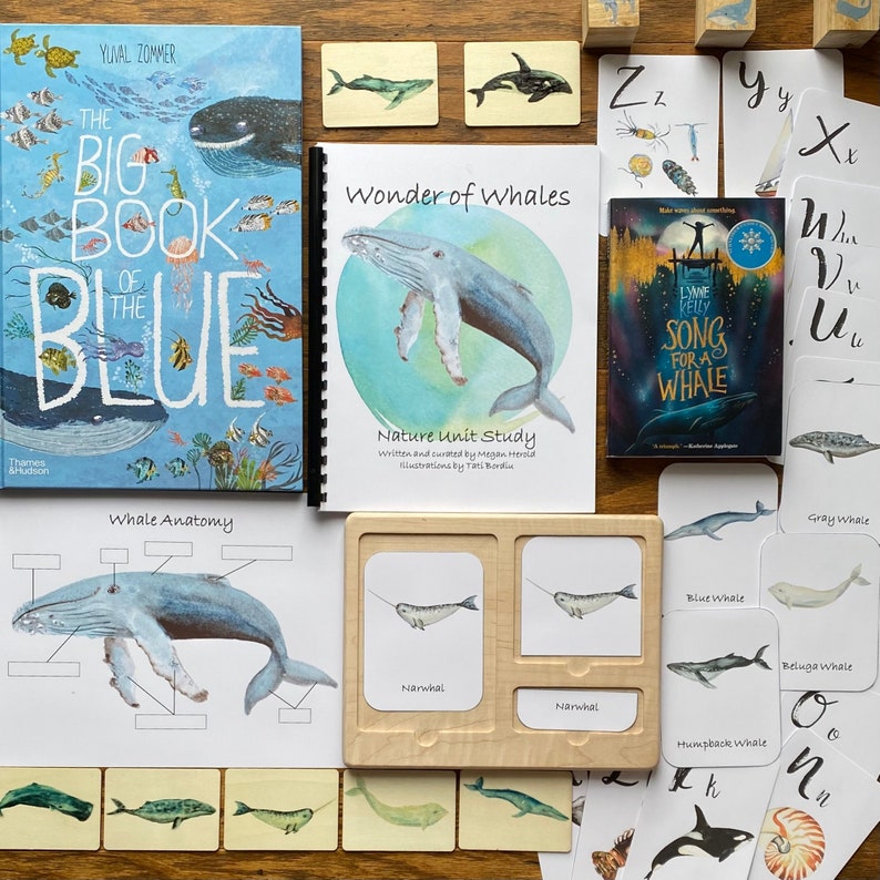 Whale Unit Study - Etsy