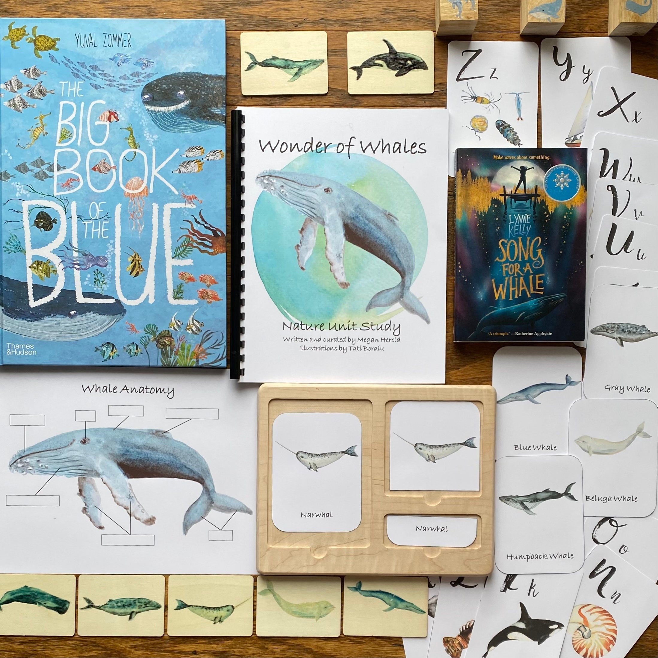 Whale Unit Study - Etsy