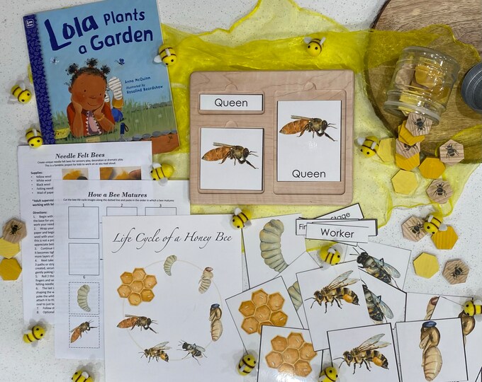 Life Cycle of a Honey Bee Printable, Bee Science Unit Study, Honey Bee ...