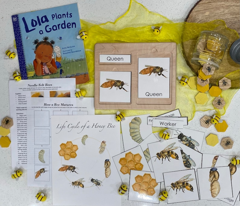 Bee Life Cycle Mini Unit Study | Bees | Homeschool | Homeschool Unit ...