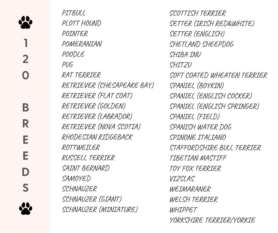 The Ultimate Playful Dog SVG & Png Bundleover 120 of Common - Etsy