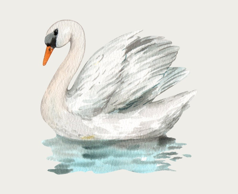 Coquette Room Decor Set of 6 Digital Prints Download, Vintage Gallery ...