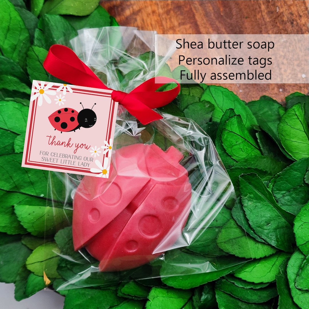 Ladybug Baby Shower Favors Little Ladybug Favors Love Bug Party