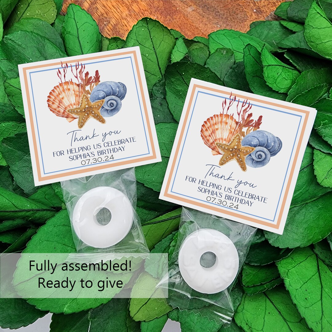 Seashell Party Favors - Beach Birthday Favors - Beach Anniversary ...
