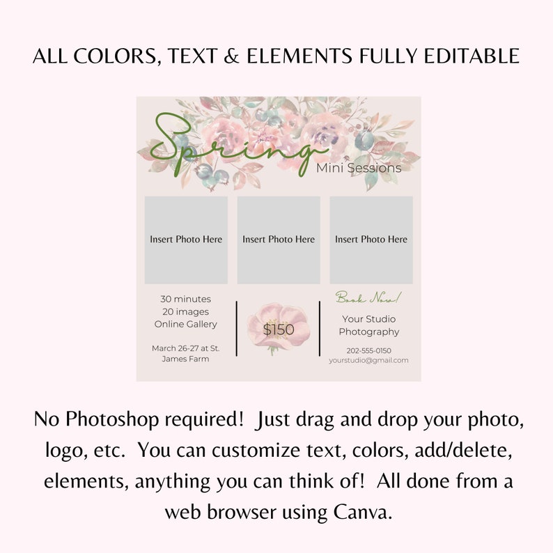 Spring Mini Session Instagram Template, Photographer Marketing (canva ...