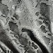 Black Snake Skin Pattern on Stretch Polyurethane Coated Polyester ...