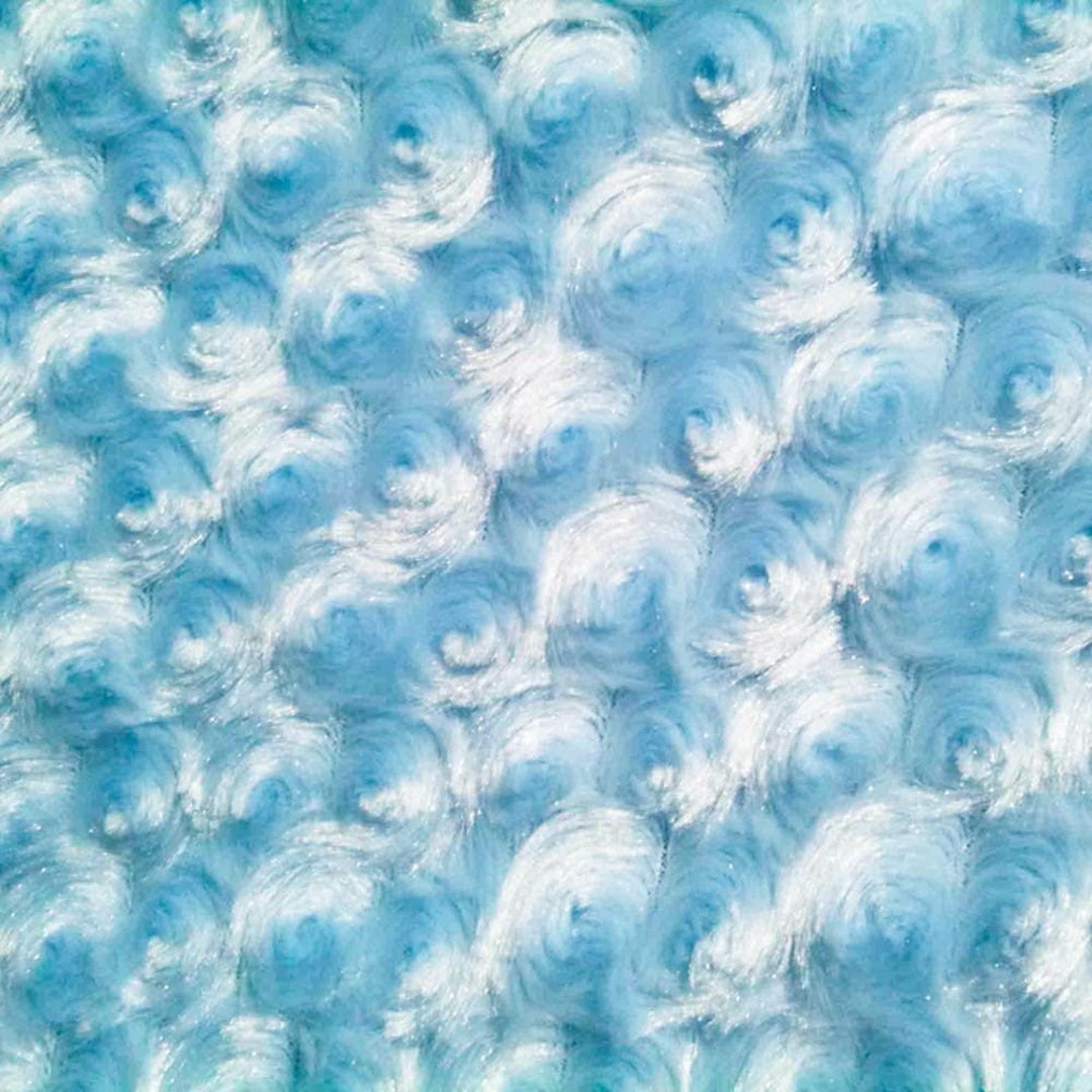 Light Blue, 60" Wide Snuggle Minky Rosette Rosebud Soft Fabric by the ...