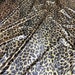 Four Way Stretch Metallic Leopard Animal Skin Print Polyurethane Foil ...