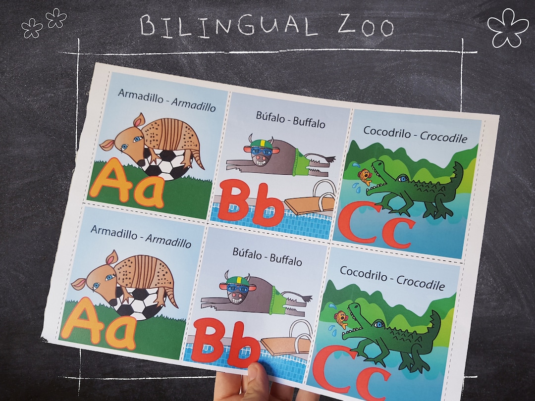 Bilingual Alphabet Flash Cards English Spanish - Bilingual Zoo - Etsy