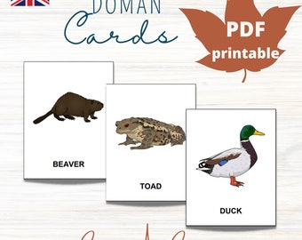 PINK SERIES Montessori Cards Flash Cards Three Part Cards - Etsy