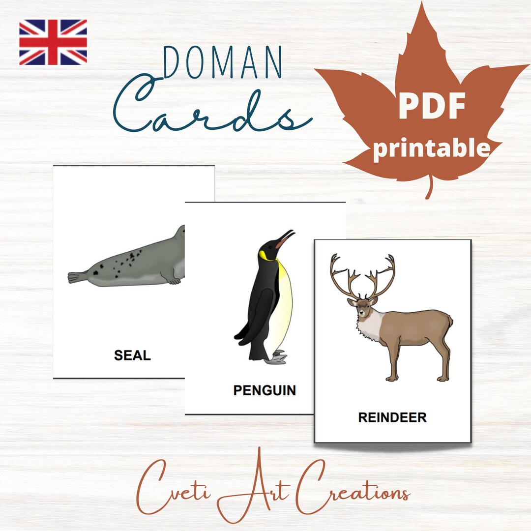 POLAR ANIMALS Card Material * 11 Montessori Nomenclature Flash Cards ...