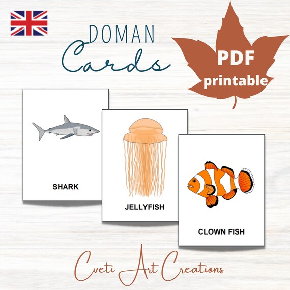 OCEAN ANIMALS Card Material 23 Montessori Nomenclature Flash | Etsy