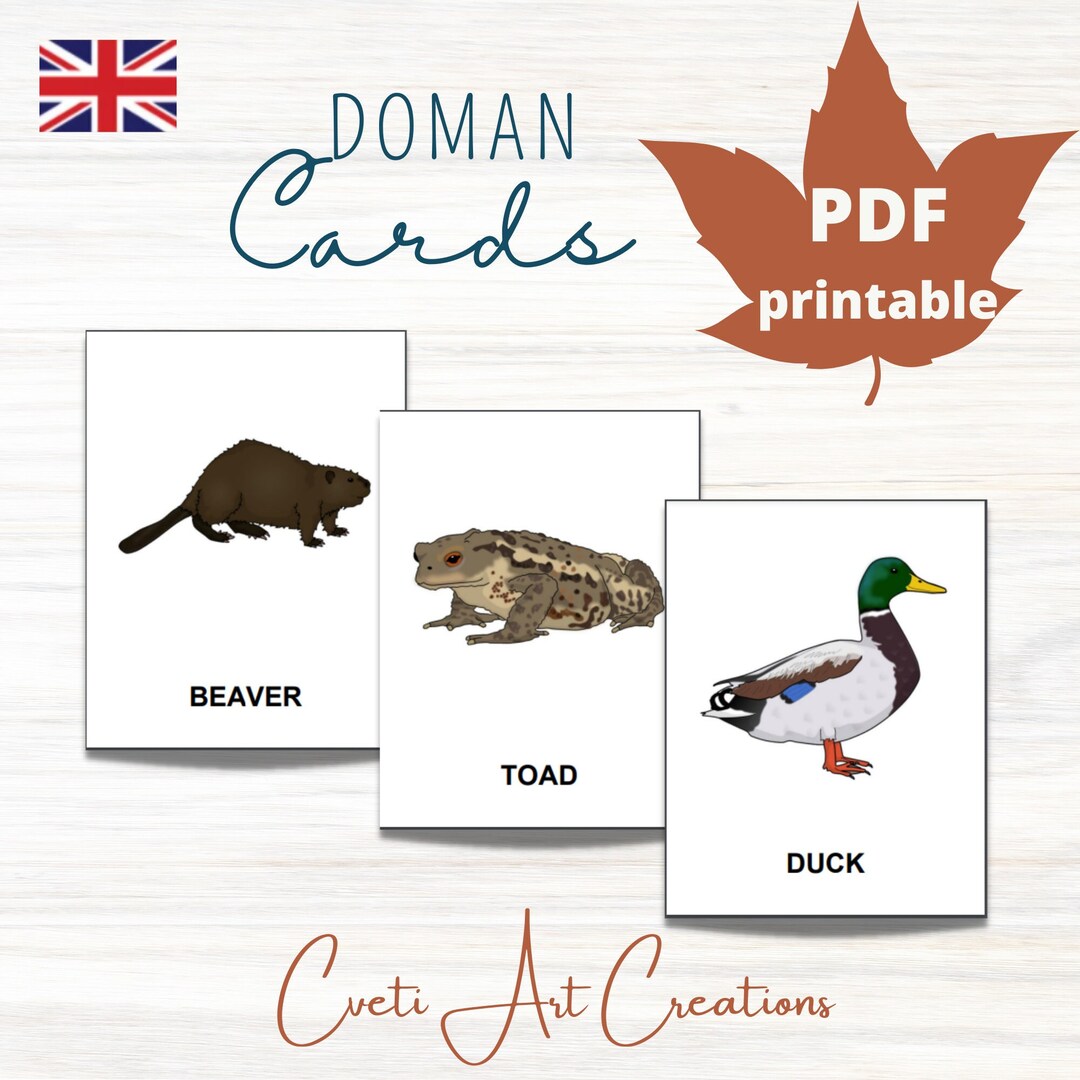 RIVER ANIMALS Card Material * 8 Montessori Nomenclature Flash Cards ...